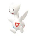 Togepi Weakness Evolution Moveset Evs And Stats