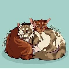 51 Warrior Cat Couples Ideas Warrior Cat Cat Couple Warrior