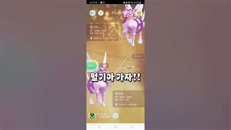 펄기아 오리진 빤짝교환 드가자 결과는 Pokemon 포켓몬 포켓몬고 포고 ポケモン Raid Youtube