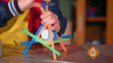 How To Build An Egg Catcher Warexamination15