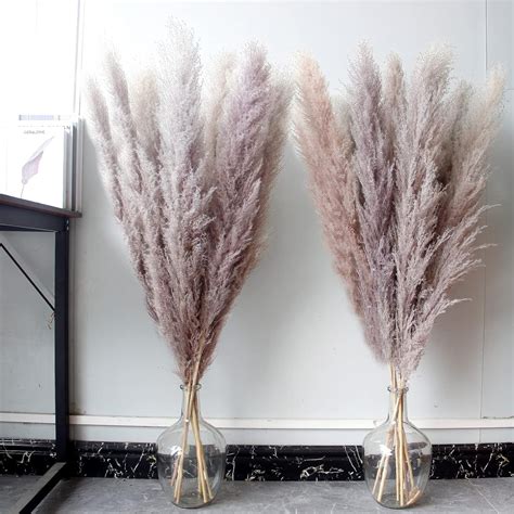 46 Inch 10 Stems Natural Pampas Grass Decor Tall Pompas Grass Tall
