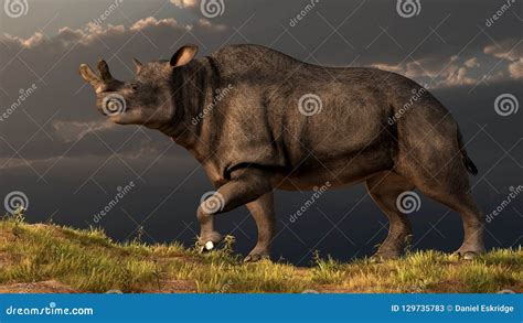 Megacerops