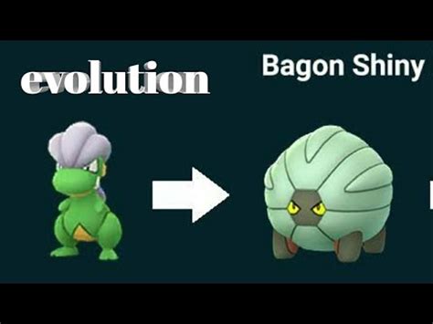 Shiny Bagon Evolution To Shelgon Youtube