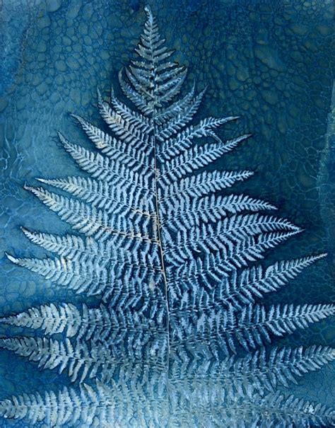 Artists Devon Artist Network