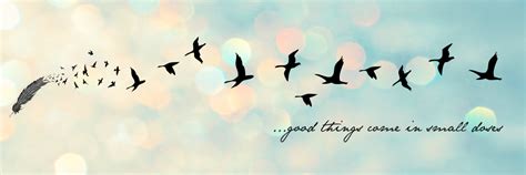 Good Quotes For Fb Cover Pic At Amy Macartney Blog