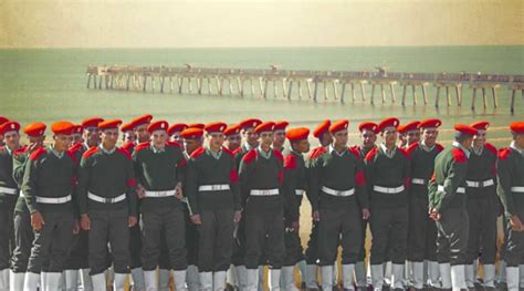 Nermine Hammam الفَنّ العَرَبِيّ