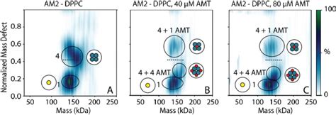 Mass Defect Heat Maps Of Am2 In Dppc Nanodiscs A With 40 µm Download Scientific Diagram