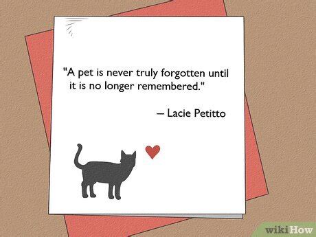 What To Say In A Sympathy Card For Loss Of Cat