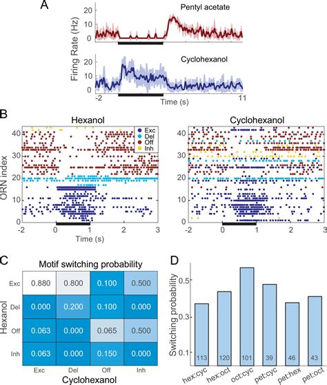 olfactory receptor neurons generate multiple response motifs