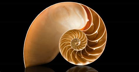 Intercepto Y Pendiente En Y Claves Esenciales