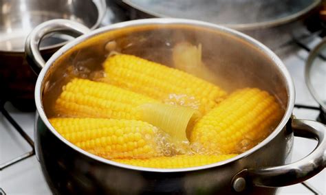 Kuhana Mlada Koruza Znamsi