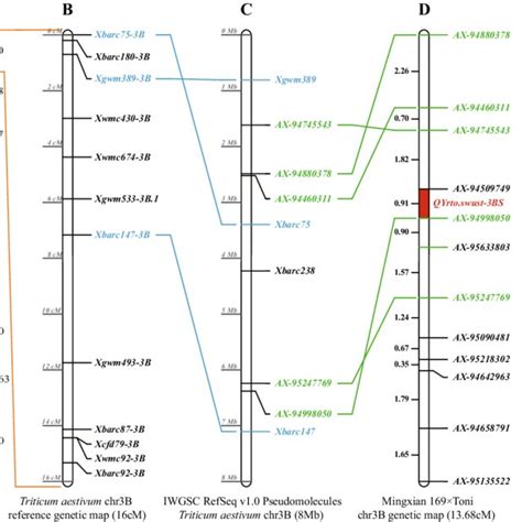 Genetic And Comparative Genomic Linkage Maps Of The Stripe Rust