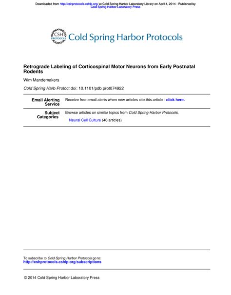 Pdf Retrograde Labeling Of Corticospinal Motor Neurons From Early