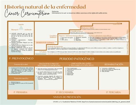 Historia Natural De La Enfermedad Cuadros Historia Natural De La