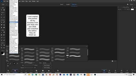 solved pse 2021 to 2024 presets and brushes adobe product community