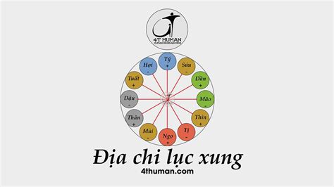 Địa Chi Lục Xung Trong Bát Tự Tứ Trụ 4t Human