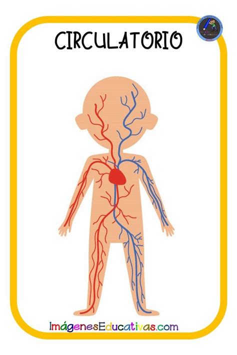 Boy Body Vector Images Over 36 000 Artofit