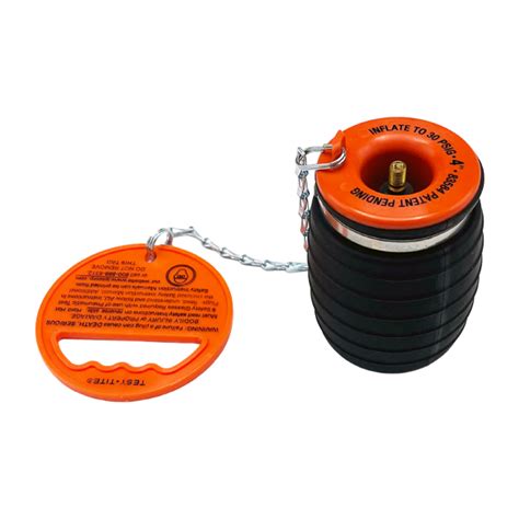 4 Inflatable Test Ball Wal Rich Corporation