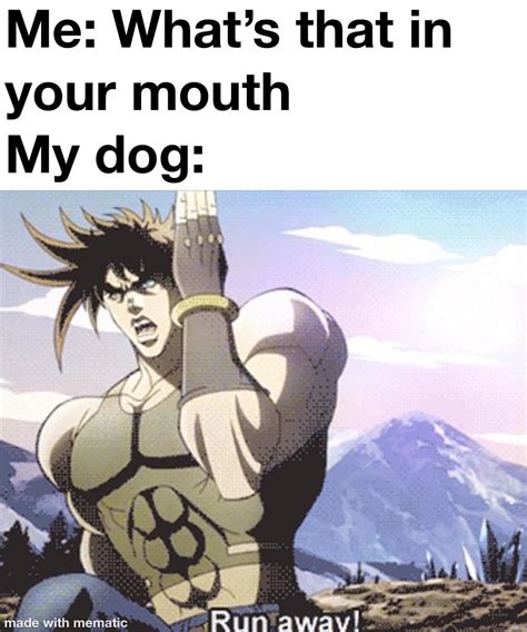 Get Back Here R Animemes