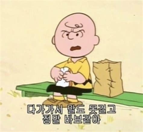 스누피 짤 아이폰 배경화면 스누피 공감짤 스누피 귀여운 짤