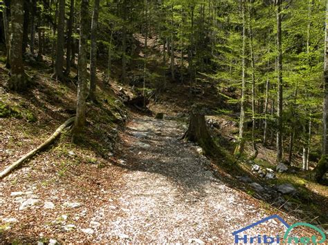 Planina Blato Planina Viševnik čez Krištofojco Slika 193014