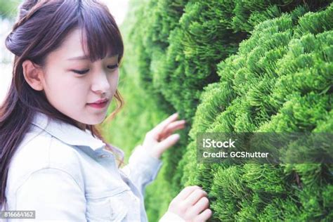 Potret Gadis Jepang Yang Cantik Foto Stok Unduh Gambar Sekarang