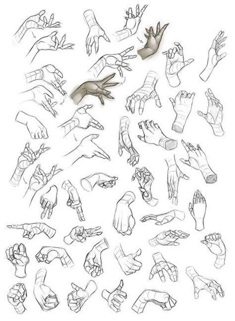 45 Best Female Hand Reference Ideas Hand Reference How To Draw Hands