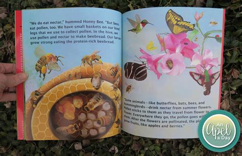 An Apel A Day Achoo Why Pollen Counts A Book Review