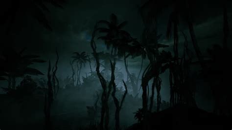 76 Fog Enshrouded Stock Videos Footage And 4k Video Clips Getty Images