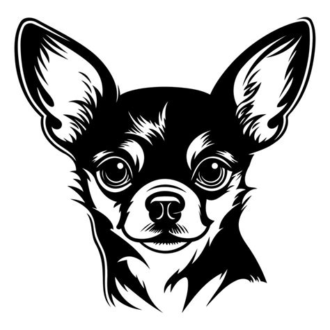 A Striking Black And White Illustration Of A Chihuahuas Face Premium