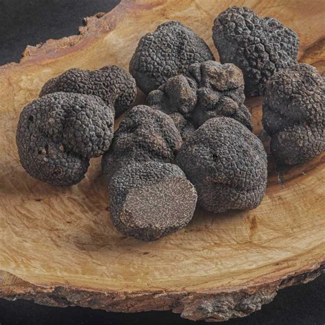 Winter Black Truffles Varieties Purchasing And Cooking Forager Chef