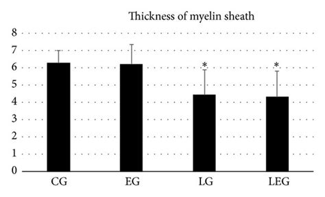 Graphical Representation Of Results For Morphometry A Nerve Fiber Download Scientific