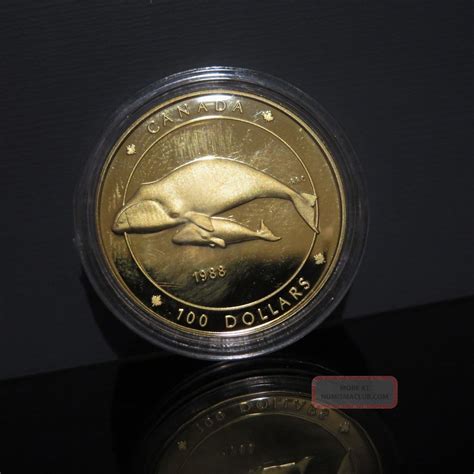 Canada 100 Gold Coin 14k 1988 Bowhead Whale In Capsule