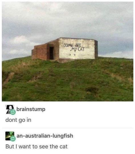 Rust In A Nutshell Rplayrust Rust In A Nutshell Rplayrust