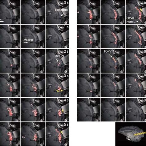 Spatio Temporal Evolution Of The Correlation Between Fluctuations In Download Scientific