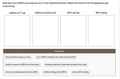 each type of pre mrna processing has one or more important functions