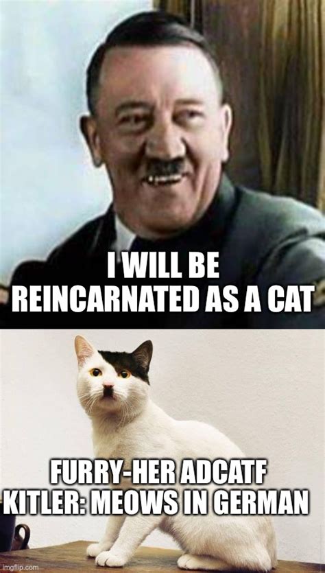 Cat German Meme At Alannah Macquarie Blog