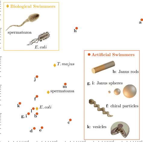 Color Online Active Brownian Particles Are Biological Or Manmade