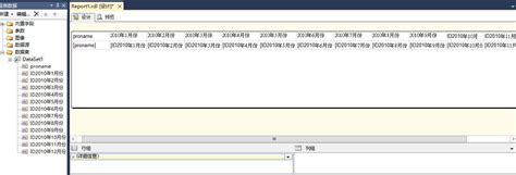Sql Server 2012 报表开发5 Reporting Service 动态显示和隐藏列sql Server Declare