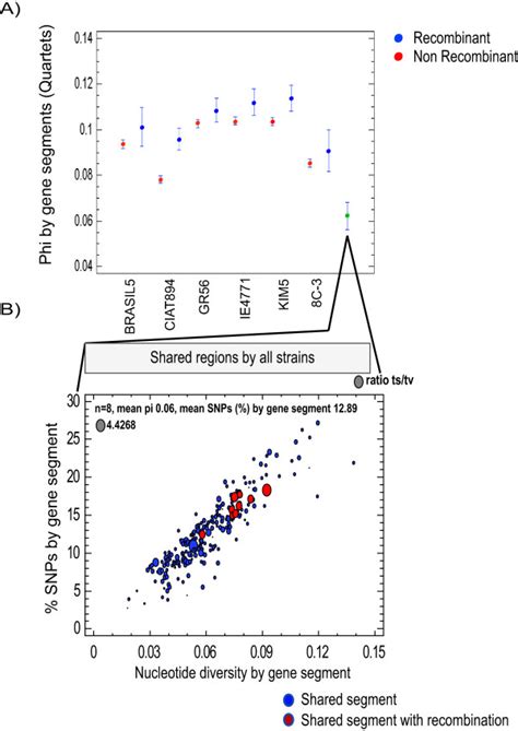 Genetic Diversity In Recombinant Segments A For Each Homologous