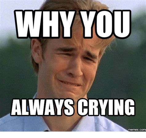 45 Crying Memes That Will Bring A Tear To Your Eye Inspirationfeed