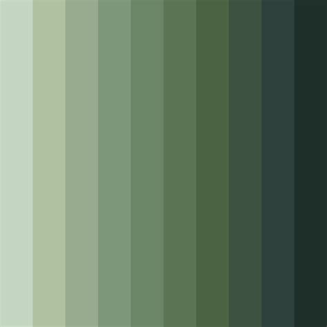 Muted Green Color Palette Colordrop