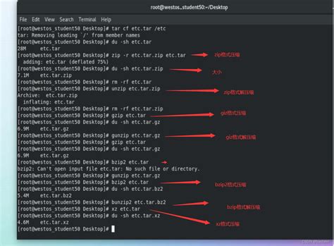 Linux文件传输详解附图linux转发文件命令详解 Csdn博客