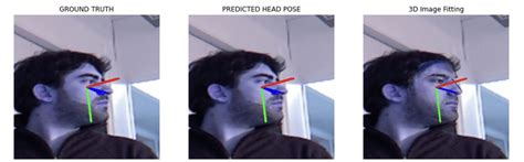 7 Ground Truth Predicted Head Poses And 3d Morphing In Biwi Dataset