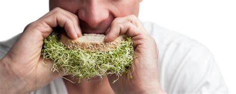 Small Bites Kucumber Nutrition Communications