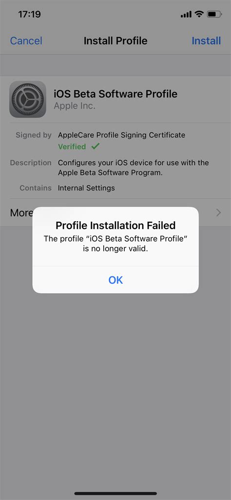 Bug Unable To Install Ios Developer Profile Any More Riosbeta