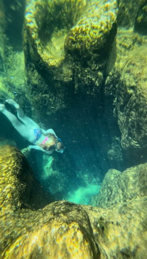 ocala news on twitter diving deep into salt springs recreation area