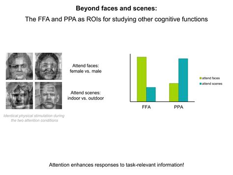 Introduction To Fmri Pptx