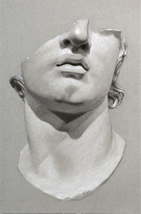 Classical Drawing From Beginner To Master