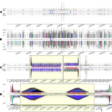 Repeat Graph A Repeat Graph Of The 283 Mb Sequence From S